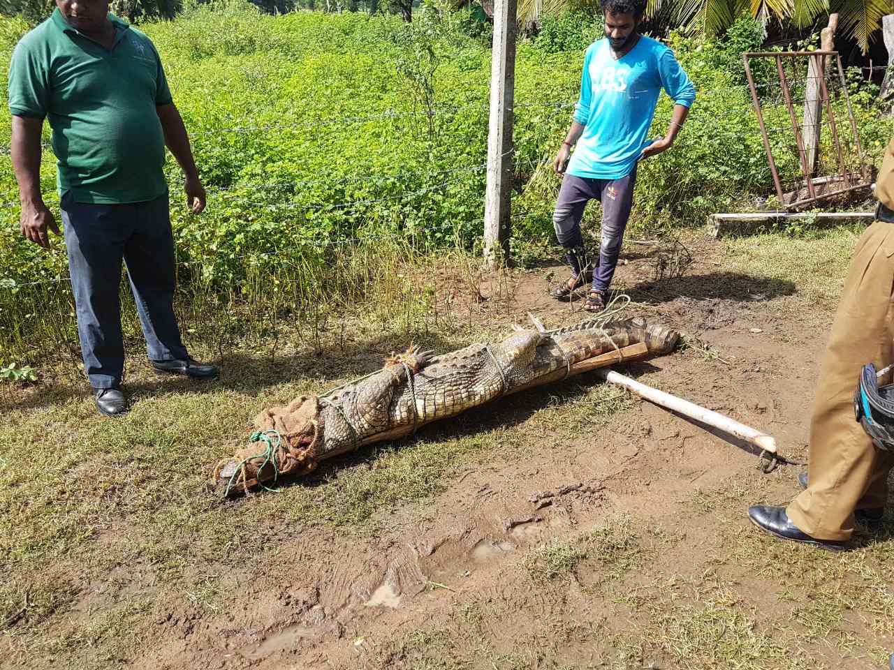 වැස්සත් එක්ක ගමට ආපු අමුත්තා - Aruna