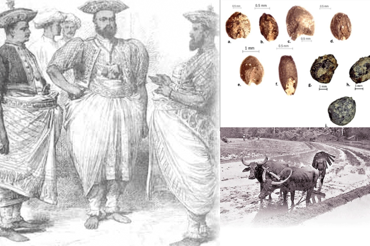 පණ්ඩුකාභය රජ දවස අපි කාපු බීපු හැටි - Aruna