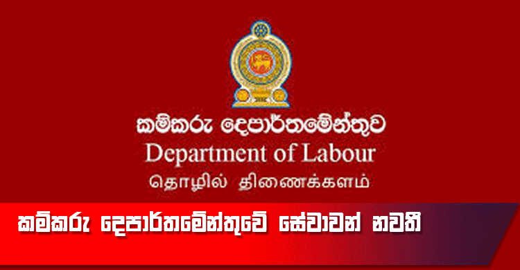 කම්කරු දෙපාර්තමේන්තුවේ සේවාවන් නවතී - Aruna