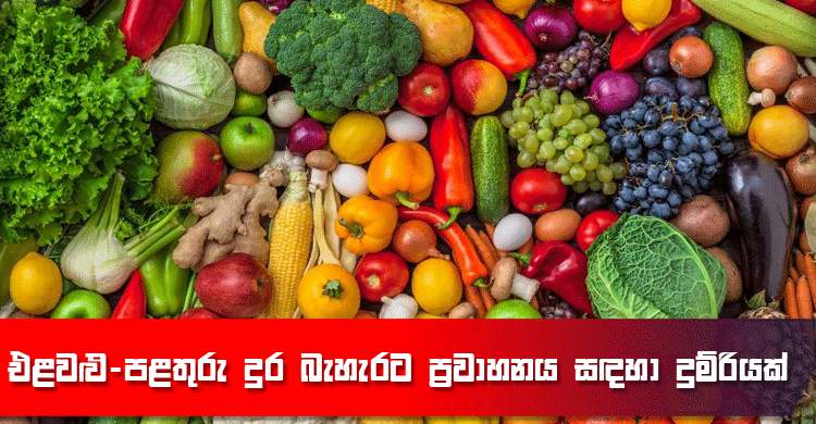 එළවළු-පළතුරු දුර බැහැරට ප්‍රවාහනය සඳහා දුම්රියක් ⋆ ධරණී