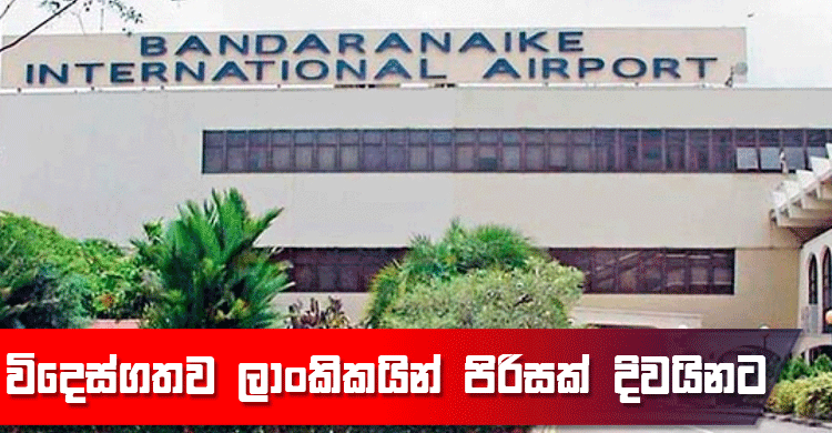 විදෙස්ගතව ලාංකිකයින් පිරිසක් දිවයිනට ⋆ ධරණී