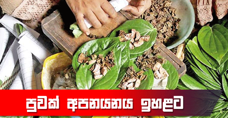 පුවක් අපනයනය ඉහළට ⋆ ධරණී