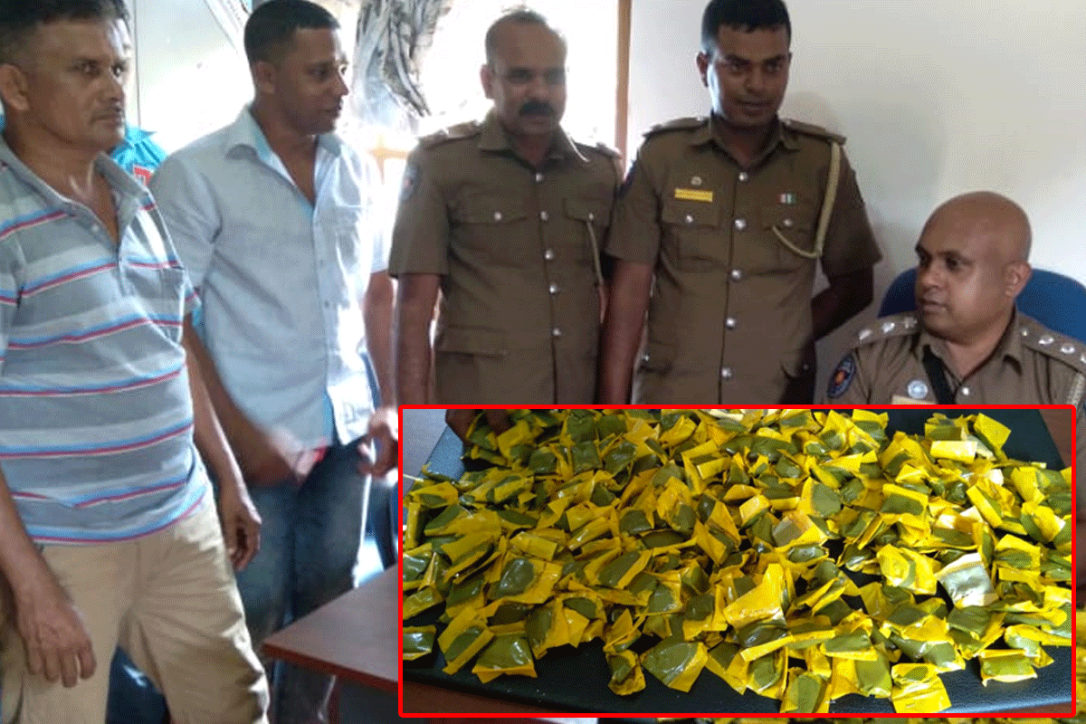 මදන මෝදක විකුණන වෙළඳසැලක් වටලයි - Aruna