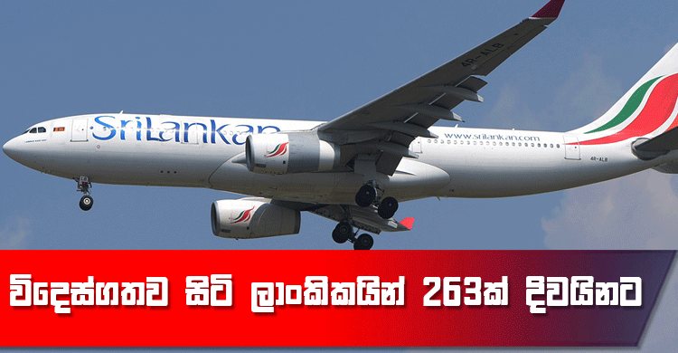 විදෙස්ගතව සිටි ලාංකිකයින් 263ක් දිවයිනට ⋆ ධරණී