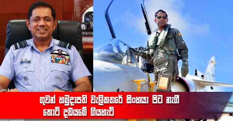 ගුවන් හමුදාපති වැලිකතරේ සිංහයා පිට නැගී කොටි දඩයමේ ගියහැටි ⋆ ධරණී