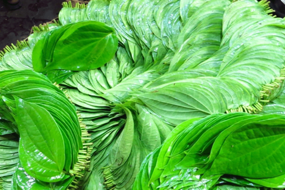 බුලත් අපනයනයෙන් රු.මිලියන 2792ක ආදායමක් - Aruna