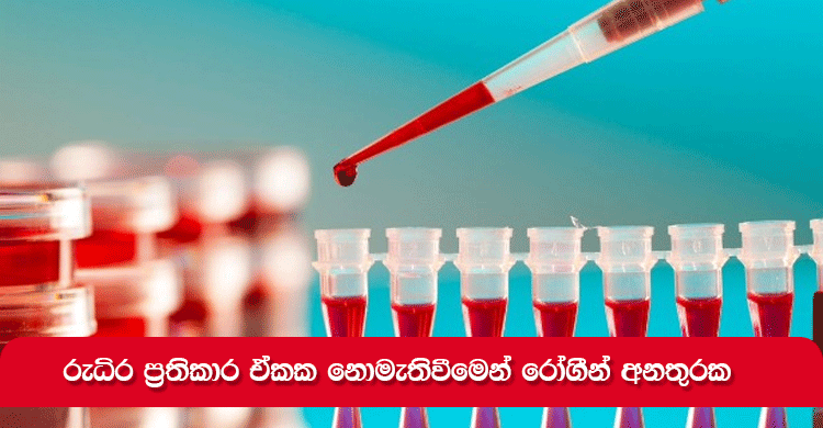 රුධිර ප්‍රතිකාර ඒකක නොමැතිවීමෙන් රෝගීන් අනතුරක ⋆ ධරණී