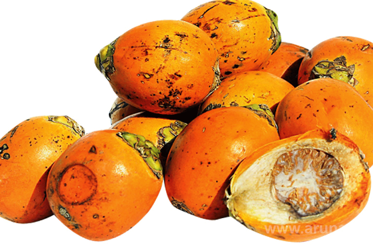 පුවක් මිල ඉහළට - Aruna