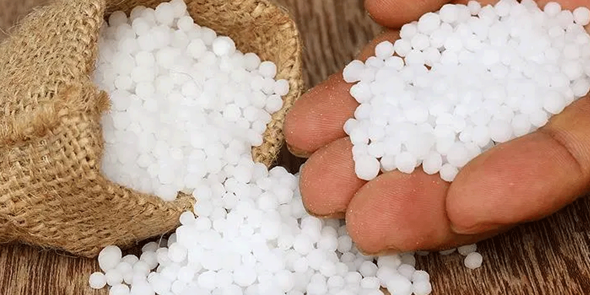 ආනයනය තහනම් කර තිබියදී වරායට යූරියා නැවක් - Aruna