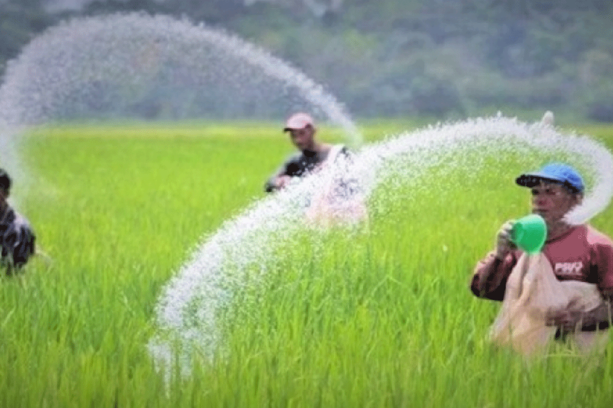 රසායනික පොහොර තහනම ඉවත් කරයි - Aruna